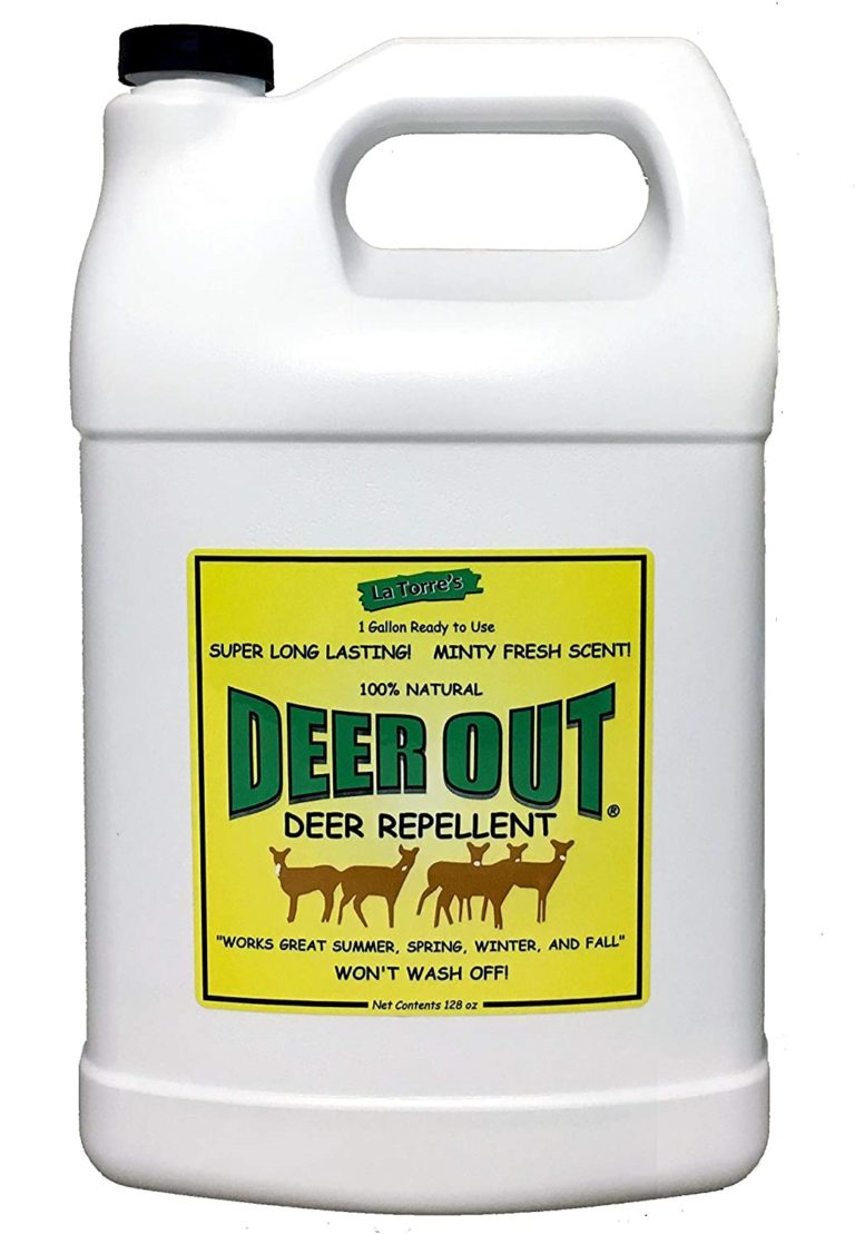 Buy 1 Gallon Deer Repellent Ready to Use Solution - Deer Out